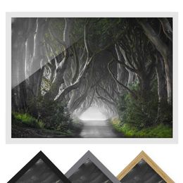 Natur & Landschaft Bild mit Rahmen Wald in Nordirland