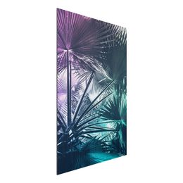 Alu Dibond Outdoor Bild - Tropische Pflanzen Palmenblatt in T&uuml;rkis III - Natur t&uuml;rkis Tropisch wetterfest Palme Wohnzimmer Schlafzimmer