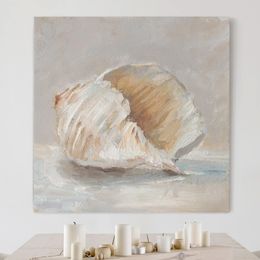 Bilderwelten Leinwandbild - Quadrat Muschel-Studie IV