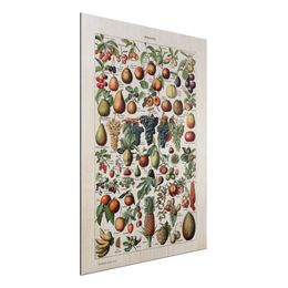Bilderwelten Alu-Dibond Outdoor Bild Vintage Lehrtafel Fr&uuml;chte