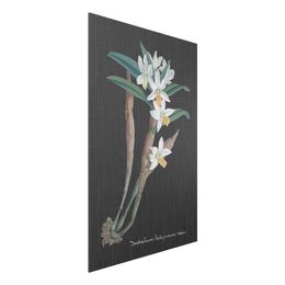 Alu Dibond Outdoor Bild - Wei&szlig;e Orchidee auf Leinen I - schwarz Vintage wetterfest Orchidee Wohnzimmer Schlafzimmer
