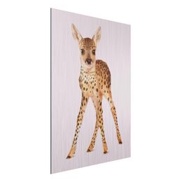Bilderwelten Alu Dibond Outdoor Bild Tiere braun Fotomontage wetterfest - Leo Rehkitz - Deko Wohnzimmer Schlafzimmer