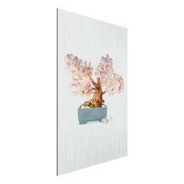 Bilderwelten Alu-Dibond Outdoor Bild Bonsai mit Marshmallows