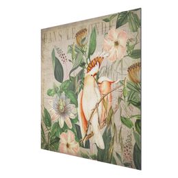 Bilderwelten Alu Dibond Outdoor Bild Blumen rosa Vintage wetterfest - Colonial Style Collage - Rosa Kakadu - Retro Wohnzimmer Schlafzimmer