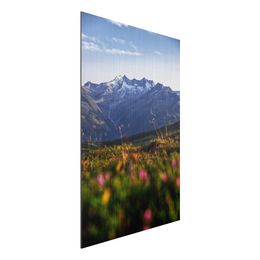 Bilderwelten Alu Dibond Outdoor Bild Blumen bunt Motiv wetterfest - Blumenwiese in den Bergen - Blumenwiese Wohnzimmer Schlafzimmer