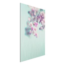 Alu Dibond Outdoor Bild - Farbenfrohe Kirschbl&uuml;ten - Blumen rosa Motiv wetterfest Kirschbl&uuml;te Wohnzimmer Schlafzimmer