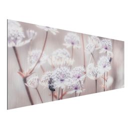 Bilderwelten Alu Dibond Outdoor Bild Blumen braun Landhaus wetterfest - Federleichte Wildblumen - Gr&auml;ser Wohnzimmer Schlafzimmer