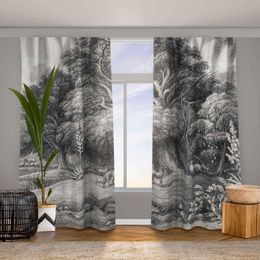 Bilderwelten Vorhang Tropischer Kupferstich in Warmgrau - blickdichte Gardine Wald Bäume Botanik Tropical Illustration Natur Vintage Wohnzimmer Schlafzimmer Küche