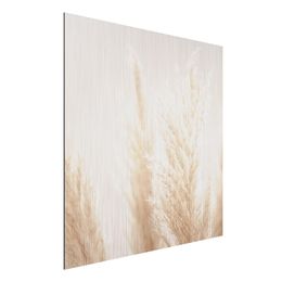Alu Dibond Outdoor Bild - Pampasgras im Sonnenlicht - Blumen beige Landhaus wetterfest Gr&auml;ser Wohnzimmer Schlafzimmer