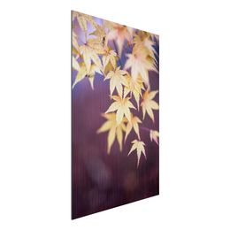 Bilderwelten Alu Dibond Outdoor Bild Stadt violett Motiv wetterfest - Herbstlicher Ahorn - Japan Wohnzimmer Schlafzimmer