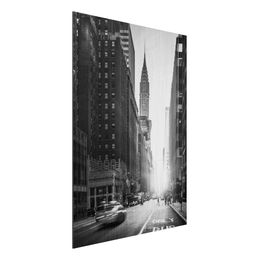 Alu-Dibond Bild Lebhaftes New York