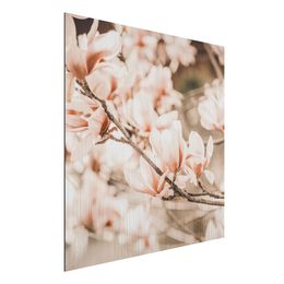 Alu Dibond Outdoor Bild - Magnolienzweige im Vintagestil - Wald braun Vintage wetterfest B&auml;ume Wohnzimmer Schlafzimmer