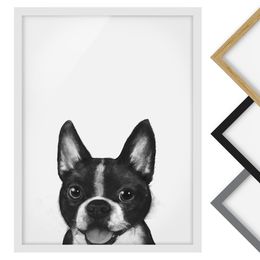 Bilderwelten Bild mit Rahmen Tiere schwarz weiss Pop Art Aquarell - Illustration Hund Boston Schwarz Wei&szlig; Malerei - Hund Wohnzimmer Schlafzimmer