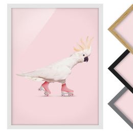 Bilderwelten Bild mit Rahmen Tiere rosa Fotomontage inkl. Rahmung - Kakadu mit Rollschuhen - Skating Wohnzimmer Schlafzimmer