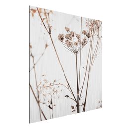 Alu Dibond Outdoor Bild - Trockenblume im Lichtspiel - Blumen braun Motiv wetterfest Deko Wohnzimmer Schlafzimmer