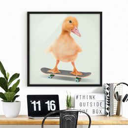 Bilderwelten Bild mit Rahmen Skate Ente