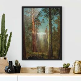 Bilderwelten Bild mit Rahmen Peaceful
