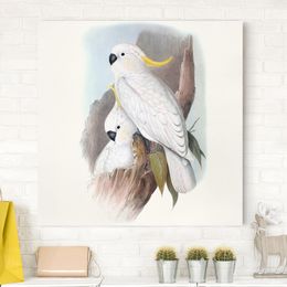 Bilderwelten Leinwandbild Tiere Vintage Aquarell beige - Pastell Papageien III - Retro XXL Wohnzimmer Schlafzimmer