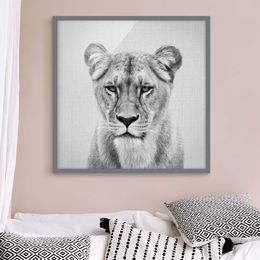 Bilderwelten Bild mit Rahmen Tiere schwarz weiss Motiv inkl. Rahmung - L&ouml;win Lisa Schwarz Wei&szlig; - L&ouml;we Kinderzimmer Baby M&auml;dchen Jungen