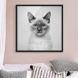 Bilderwelten Bild mit Rahmen Siamkatze Sibylle Schwarz Wei&szlig;