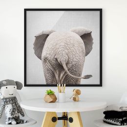 Bilderwelten Bild mit Rahmen Baby Elefant von hinten