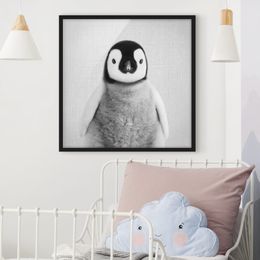 Bilderwelten Bild mit Rahmen Baby Pinguin Pepe Schwarz Wei&szlig;
