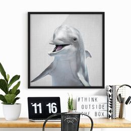 Bilderwelten Bild mit Rahmen Delfin Diddi
