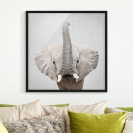 Bilderwelten Bild mit Rahmen Elefant Ewald