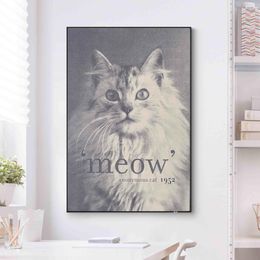Wechselbild Anonymous Cat