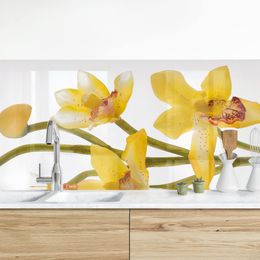 Bilderwelten Küchenrückwand selbstklebend gelb Blumen modern - Saffron Orchid Waters - Wandfolie Spritzschutz nach Maß