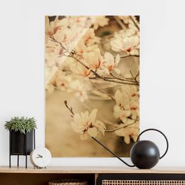 Bilderwelten Glasbild Wald Vintage braun Glas Wandbild - Magnolienzweige im Vintagestil - B&auml;ume Wohnzimmer Schlafzimmer