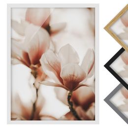 Bild mit Rahmen Zarte Magnolienbl&uuml;ten im Lichtspiel