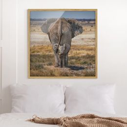 Bilderwelten Bild mit Rahmen Natur braun modern inkl. Rahmung - Frecher Elefant - africa Wohnzimmer Schlafzimmer