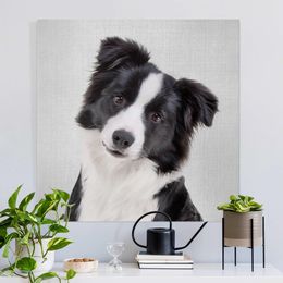 Bilderwelten Leinwandbild Tiere Motiv Kunstdruck schwarz weiss - Bordercollie Benni - Hund XXL Kinderzimmer Baby M&auml;dchen Jungen
