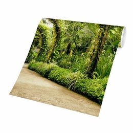 Bilderwelten Fototapete Natur Tropisch Wandtapete gr&uuml;n - Weg durch den botanischen Garten von Singapur - Asia Wohnzimmer Schlafzimmer