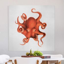 Bilderwelten Leinwandbild Strand Illustration Kunstdruck rot - Vintage Illustration Roter Oktopus - Unterwasser XXL Wohnzimmer Schlafzimmer