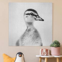 Bilderwelten Leinwandbild Tiere Motiv Kunstdruck schwarz weiss - Baby Ente Eddie Schwarz Wei&szlig; - V&ouml;gel XXL Kinderzimmer Baby M&auml;dchen Jungen