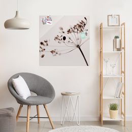 Bilderwelten Glasbild Blumen Landhaus beige Glas Wandbild - Makroaufnahme Trockenblume im Schatten - Gr&auml;ser Wohnzimmer Schlafzimmer