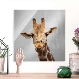 Bilderwelten Glasbild Tiere Motiv schwarz weiss Glas Wandbild - Giraffe Gundel - Giraffen Kinderzimmer Baby M&auml;dchen Jungen