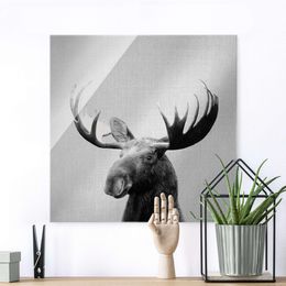 Bilderwelten Glasbild Tiere Motiv schwarz weiss Glas Wandbild - Elch Erhardt Schwarz Wei&szlig; - Deko Kinderzimmer Baby M&auml;dchen Jungen