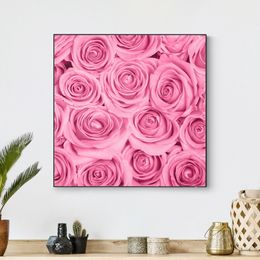 Wechselbild Rosa Rosen