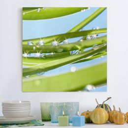 Bilderwelten Leinwandbild - Quadrat Fresh Green