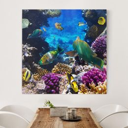 Bilderwelten Leinwandbild Strand Motiv Kunstdruck Leinwanddruck - Underwater Dreams - Karibik XXL Wohnzimmer Schlafzimmer
