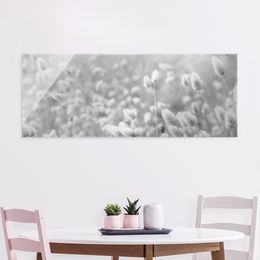 Bilderwelten Glasbild Blumen Landhaus schwarz weiss Glas Wandbild - Zarte Gr&auml;ser II - Gr&auml;ser Wohnzimmer Schlafzimmer