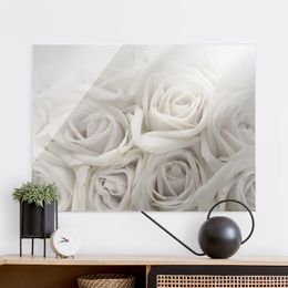 Bilderwelten Glasbild Blumen Motiv beige Glas Wandbild - Wei&szlig;e Rosen - Rose Wohnzimmer Schlafzimmer