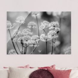 Bilderwelten Glasbild Blumen Motiv schwarz weiss Glas Wandbild - Federleichte Wildblumen II - Deko Wohnzimmer Schlafzimmer