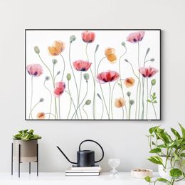 Wechselbild Klatschmohn Party