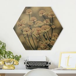 Bilderwelten Alu-Dibond Bild Hexagon Blumen braun Landhaus - Mystischer Bl&uuml;tenstrauch - Gr&auml;ser Wohnzimmer Schlafzimmer