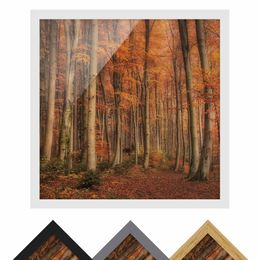 Wald Bild mit Rahmen Herbstspaziergang