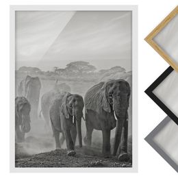 Tierbild mit Rahmen Elefantenherde
